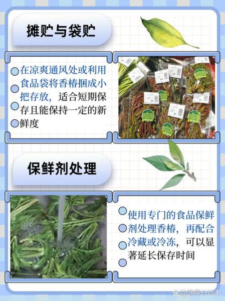 香椿怎么保存_香椿冷冻还是冷藏好-第2张图片-山城妙识 香椿怎么保存_香椿冷冻还是冷藏好-第2张图片-山城妙识