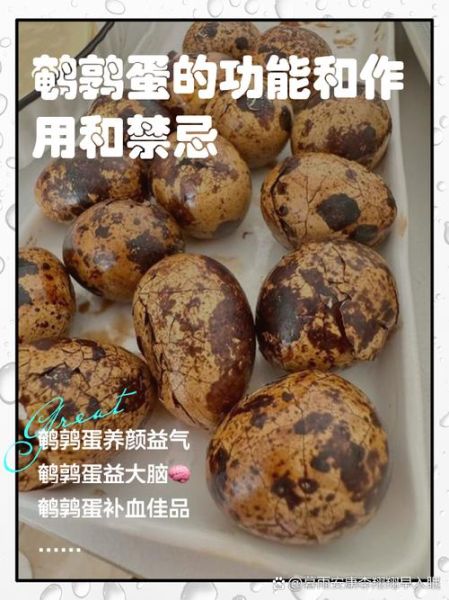 鹌鹑蛋的功效与作用_鹌鹑蛋的禁忌有哪些-第1张图片-山城妙识