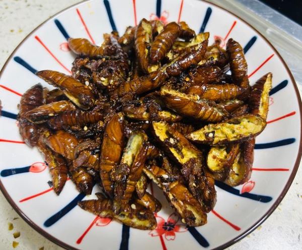 蚕蛹焯水需要多长时间_蚕蛹焯水多久才熟-第1张图片-山城妙识 蚕蛹焯水需要多长时间_蚕蛹焯水多久才熟-第1张图片-山城妙识