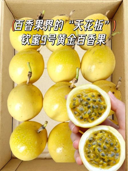 黄金百香果的功效与禁忌_哪些人不能吃-第1张图片-山城妙识