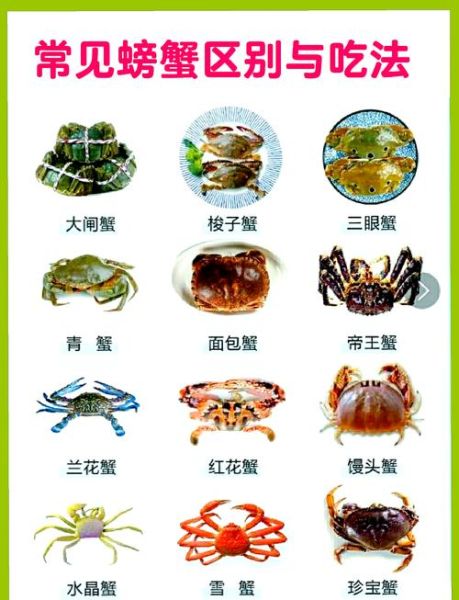螃蟹怎么吃东西_螃蟹进食方式揭秘-第1张图片-山城妙识