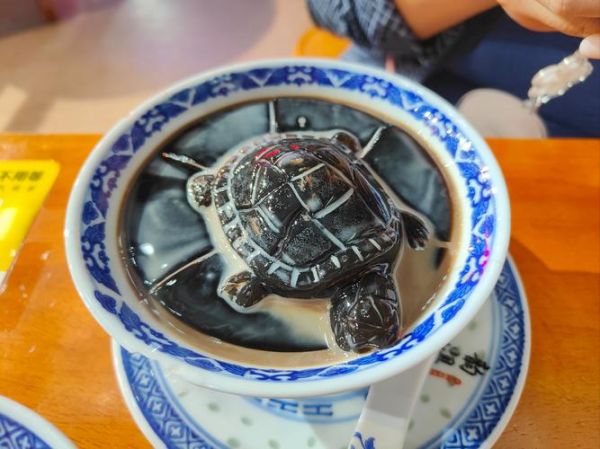 龟苓膏里面真的有乌龟吗_龟苓膏成分揭秘-第3张图片-山城妙识