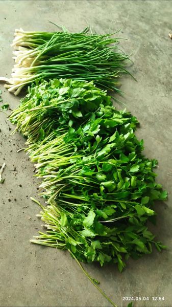 芹菜做饺子馅要焯水吗_不焯水会涩吗-第1张图片-山城妙识