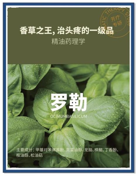 香草精油的功效与作用_如何使用香草精油-第1张图片-山城妙识 香草精油的功效与作用_如何使用香草精油-第1张图片-山城妙识