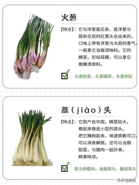 藠头和野葱的区别图片_如何一眼分辨-第1张图片-山城妙识