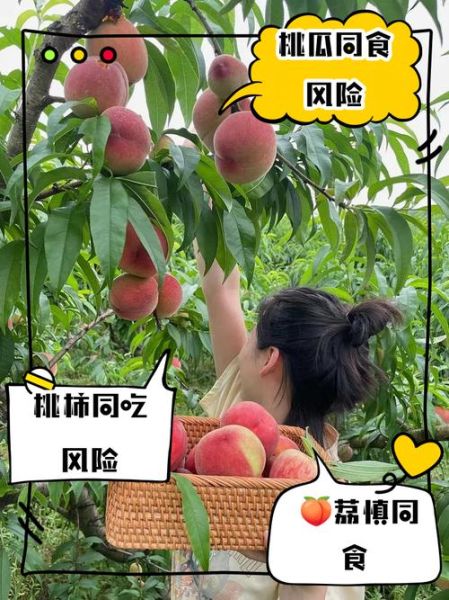 桃子和什么不能一起吃_桃子相克食物有哪些-第2张图片-山城妙识