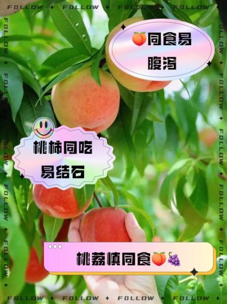 桃子和什么不能一起吃_桃子相克食物有哪些-第1张图片-山城妙识