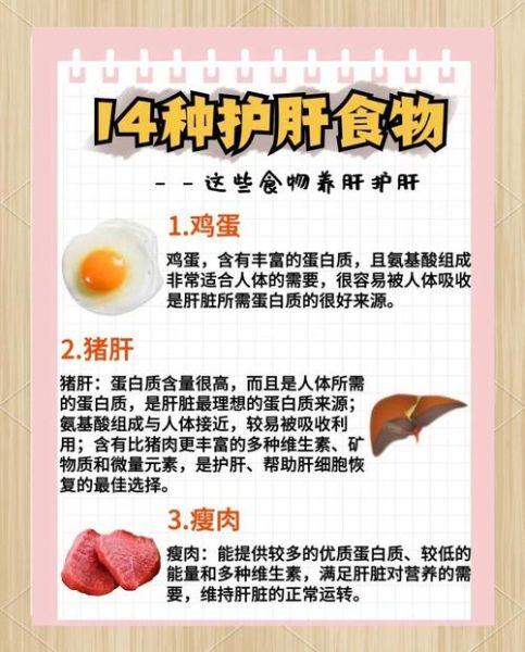 肝脏不好吃什么食物才能养肝护肝_肝不好吃什么调理最快-第3张图片-山城妙识