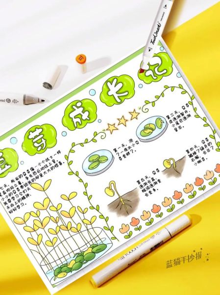 豆芽怎么种_豆芽生长过程手绘图-第1张图片-山城妙识