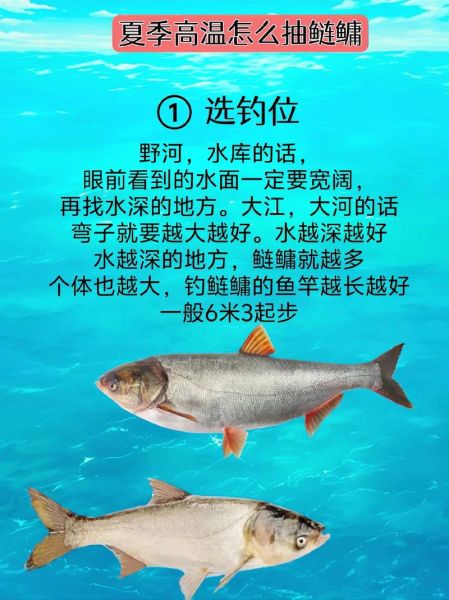 钓鲢鳙用什么饵料_钓鲢鳙怎么找水层-第1张图片-山城妙识