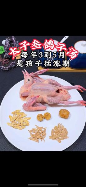 鸽子汤怎么做给小孩吃_鸽子肉适合孩子吃吗-第1张图片-山城妙识