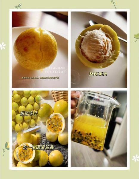 百香果怎么吃好吃_百香果的吃法大全-第3张图片-山城妙识 百香果怎么吃好吃_百香果的吃法大全-第3张图片-山城妙识