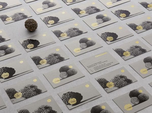 松露猪加盟条件_松露猪加盟费用-第3张图片-山城妙识