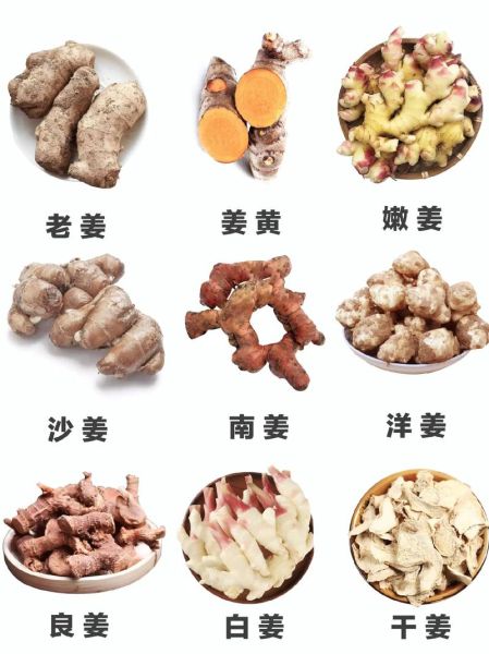 良姜图片功效与作用_良姜和生姜的区别-第1张图片-山城妙识
