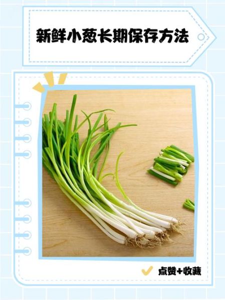 小葱怎么保存新鲜_小葱图片识别技巧-第1张图片-山城妙识