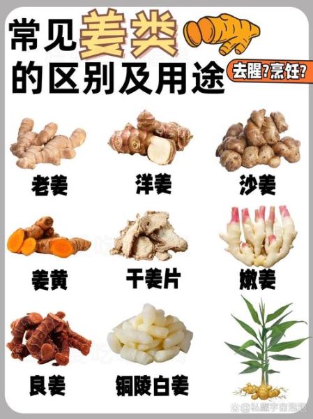 良姜图片功效与作用_良姜和生姜的区别-第3张图片-山城妙识