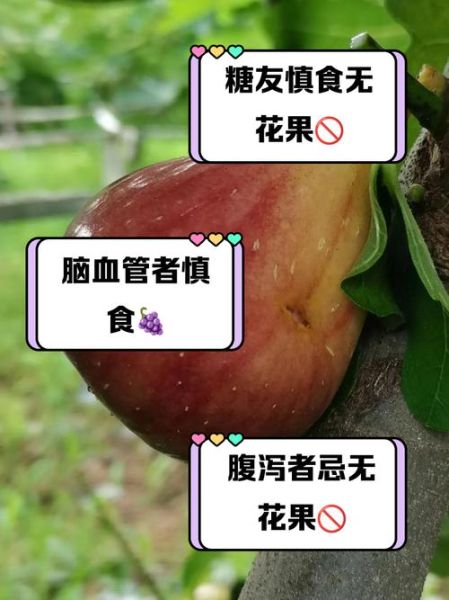 吃无花果的禁忌_哪些人不能吃无花果-第1张图片-山城妙识