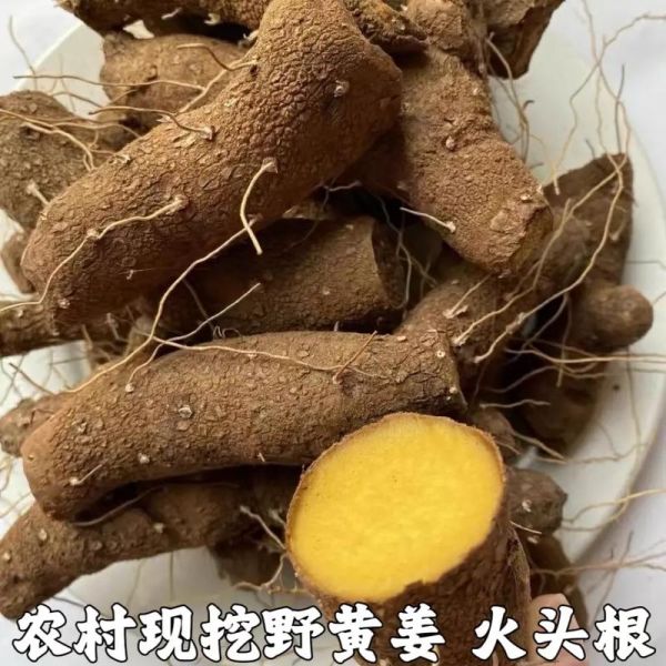 野黄姜的功效与作用_野黄姜怎么吃效果最好-第2张图片-山城妙识