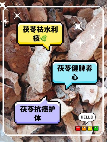 长期服用茯苓的危害_茯苓副作用有哪些-第3张图片-山城妙识