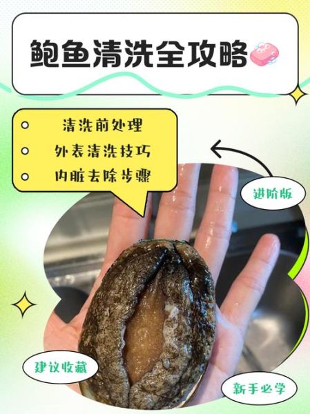 干鲍鱼怎么泡发_干鲍鱼清洗步骤-第3张图片-山城妙识
