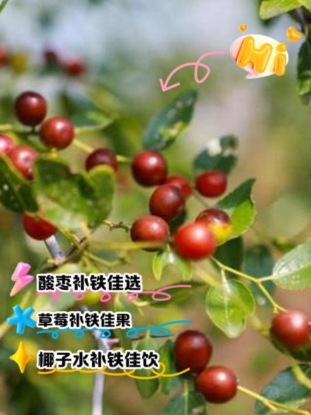 贫血不能吃什么水果_哪三种水果最伤补血-第2张图片-山城妙识