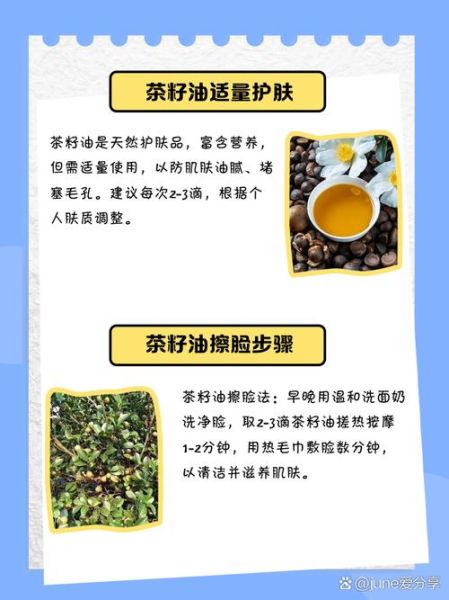 茶油擦脸的正确方法_茶油擦脸能祛斑吗-第1张图片-山城妙识 茶油擦脸的正确方法_茶油擦脸能祛斑吗-第1张图片-山城妙识