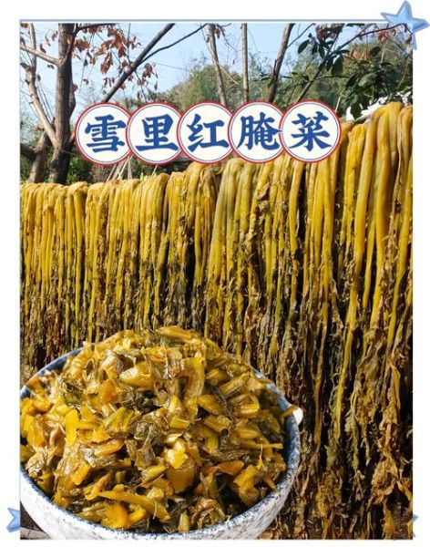雪菜有几种图片_雪菜品种图片大全-第3张图片-山城妙识 雪菜有几种图片_雪菜品种图片大全-第3张图片-山城妙识