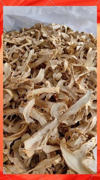 干松茸怎么吃_干松茸泡发方法-第1张图片-山城妙识