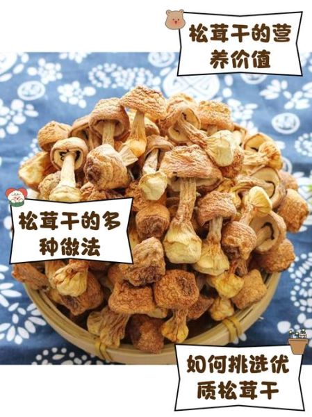 干松茸怎么吃_干松茸泡发方法-第2张图片-山城妙识