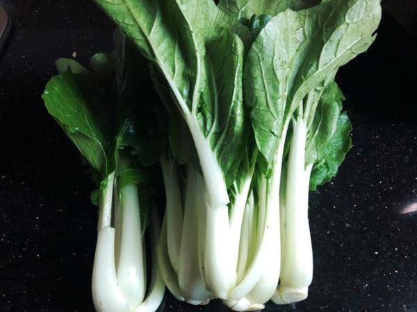 青菜类都有什么菜_常见青菜品种大全-第1张图片-山城妙识 青菜类都有什么菜_常见青菜品种大全-第1张图片-山城妙识
