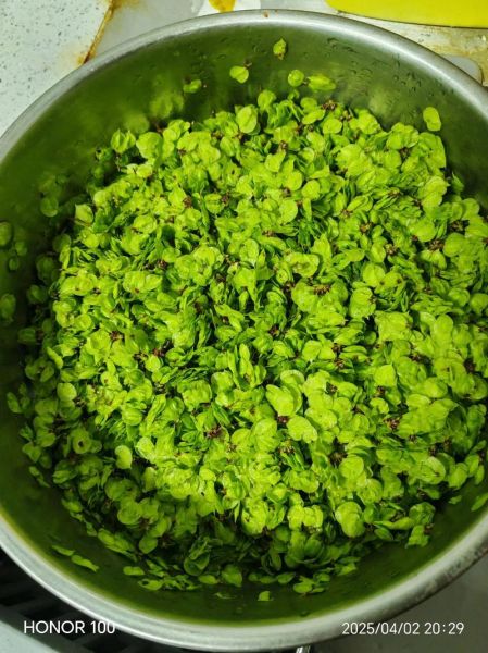 榆钱饺子怎么做_榆钱饺子馅怎么调才好吃-第1张图片-山城妙识