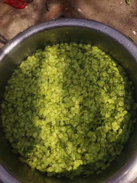 榆钱饺子怎么做_榆钱饺子馅怎么调才好吃-第3张图片-山城妙识