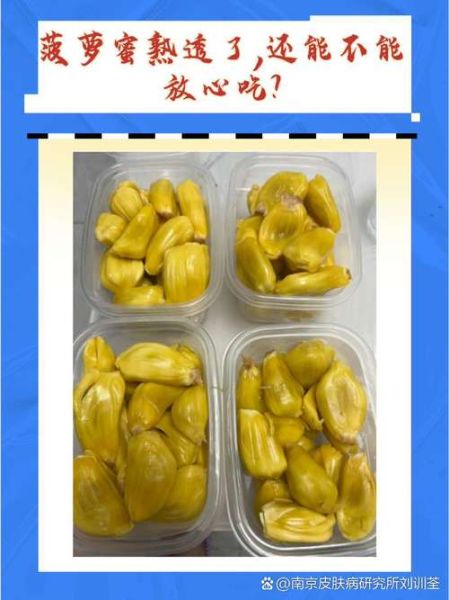 菠萝蜜丝为什么不能吃_吃了会怎样-第3张图片-山城妙识 菠萝蜜丝为什么不能吃_吃了会怎样-第3张图片-山城妙识