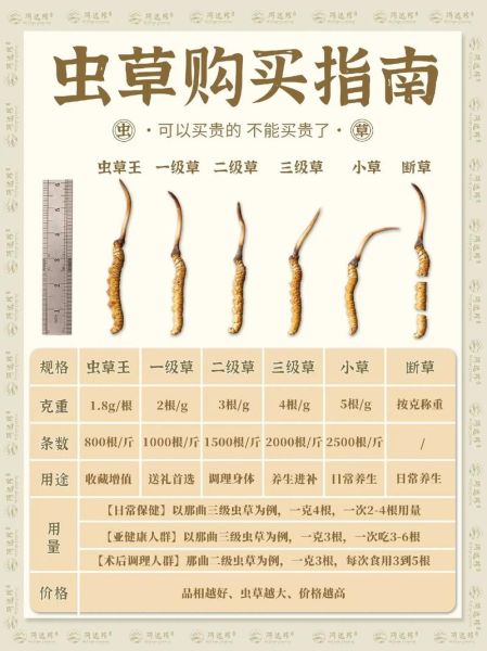 虫草的功效与作用有哪些_虫草主治什么病-第3张图片-山城妙识