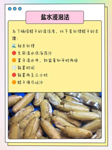 蛏子哪些部位不能吃_蛏子内脏怎么清理-第1张图片-山城妙识