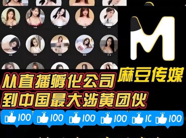 麻豆剧果冻传媒精品网站_如何免费观看-第2张图片-山城妙识