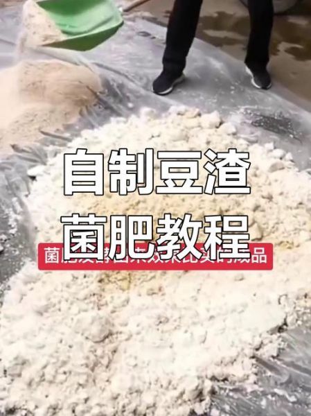 豆渣怎么发酵_豆渣发酵最简单的方法-第1张图片-山城妙识