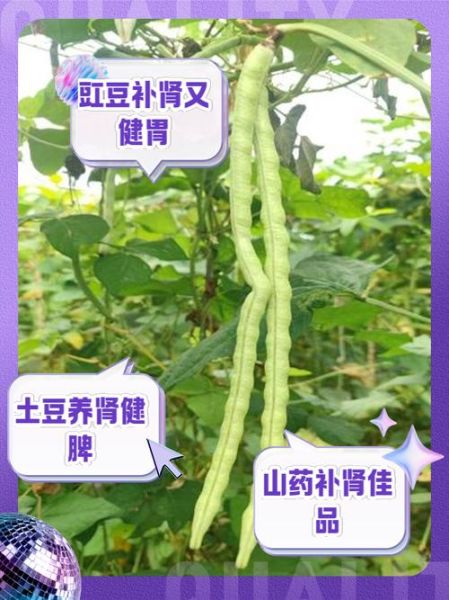 壮阳补肾的蔬菜有哪些_怎么吃效果最好-第1张图片-山城妙识