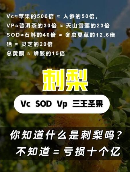 刺梨原液哪些人不能吃_禁忌人群全解析-第1张图片-山城妙识