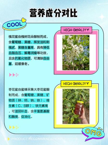 枣花蜂蜜和洋槐蜂蜜哪个好_区别与选购指南-第1张图片-山城妙识