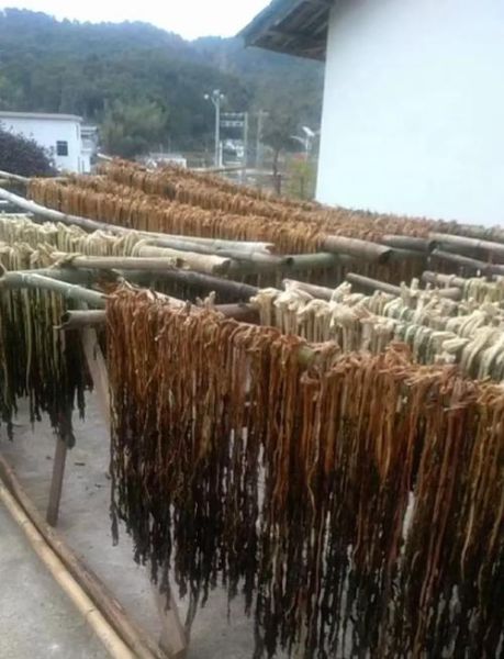 自制梅干菜三蒸三晒怎么做_梅干菜三蒸三晒需要几天-第1张图片-山城妙识