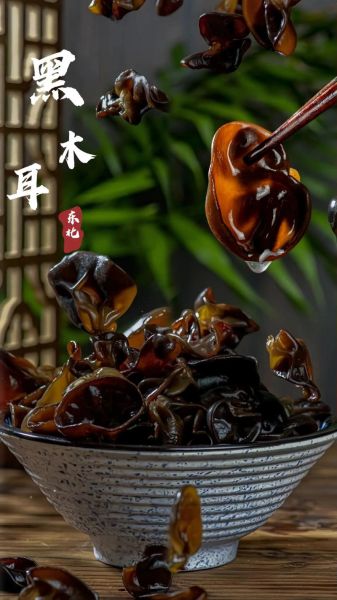 黑木耳是什么意思_黑木耳网络用语来源-第1张图片-山城妙识