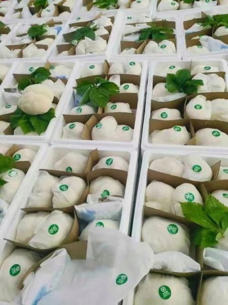 新鲜猴头菇要焯水吗_猴头菇焯水多久-第2张图片-山城妙识