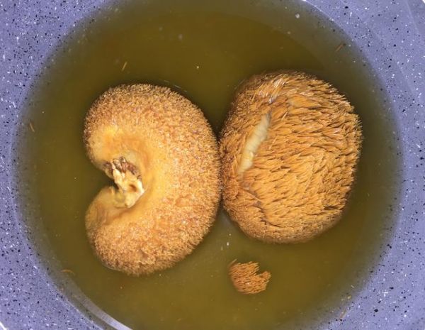 新鲜猴头菇要焯水吗_猴头菇焯水多久-第3张图片-山城妙识