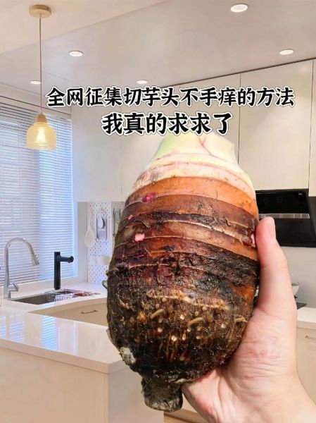 芋头弄得手痒怎么办_快速止痒方法-第2张图片-山城妙识