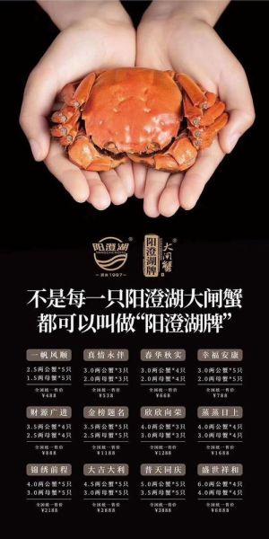 阳澄湖大闸蟹品蟹卡多少钱_2024最新价格表-第3张图片-山城妙识 阳澄湖大闸蟹品蟹卡多少钱_2024最新价格表-第3张图片-山城妙识