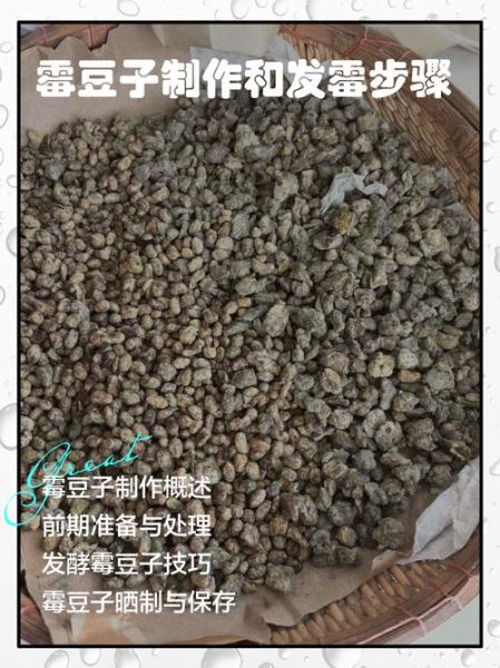 霉豆子怎么做_霉豆子制作常见问题-第1张图片-山城妙识 霉豆子怎么做_霉豆子制作常见问题-第1张图片-山城妙识