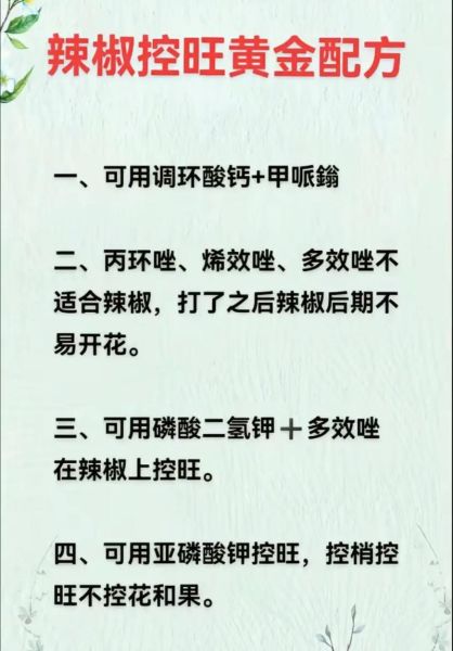 朝天椒怎么种_朝天椒种植技术-第1张图片-山城妙识