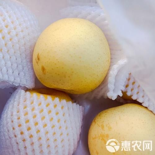 皇冠梨产地在哪里_皇冠梨哪里产的最好吃-第1张图片-山城妙识 皇冠梨产地在哪里_皇冠梨哪里产的最好吃-第1张图片-山城妙识