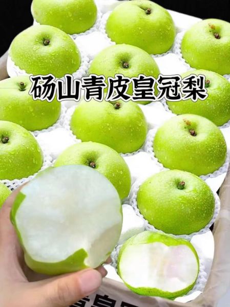 皇冠梨产地在哪里_皇冠梨哪里产的最好吃-第3张图片-山城妙识 皇冠梨产地在哪里_皇冠梨哪里产的最好吃-第3张图片-山城妙识